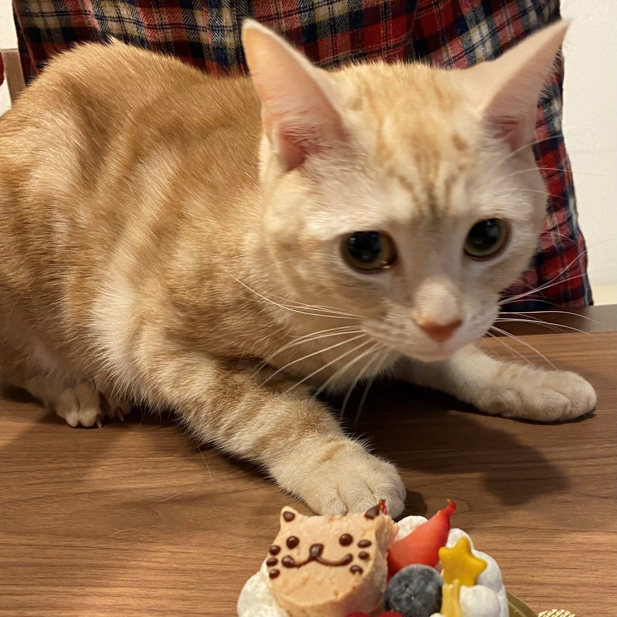 すべてのIntune登録デバイスで同期を強制実行 | 国井 傑のブログ